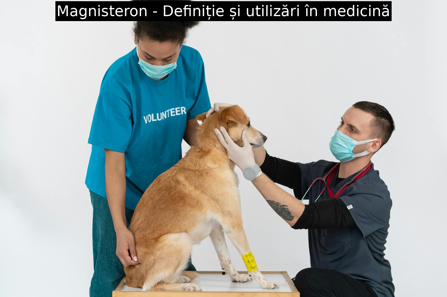 Magnisteron - Definiție și utilizări în medicină - Doctorite