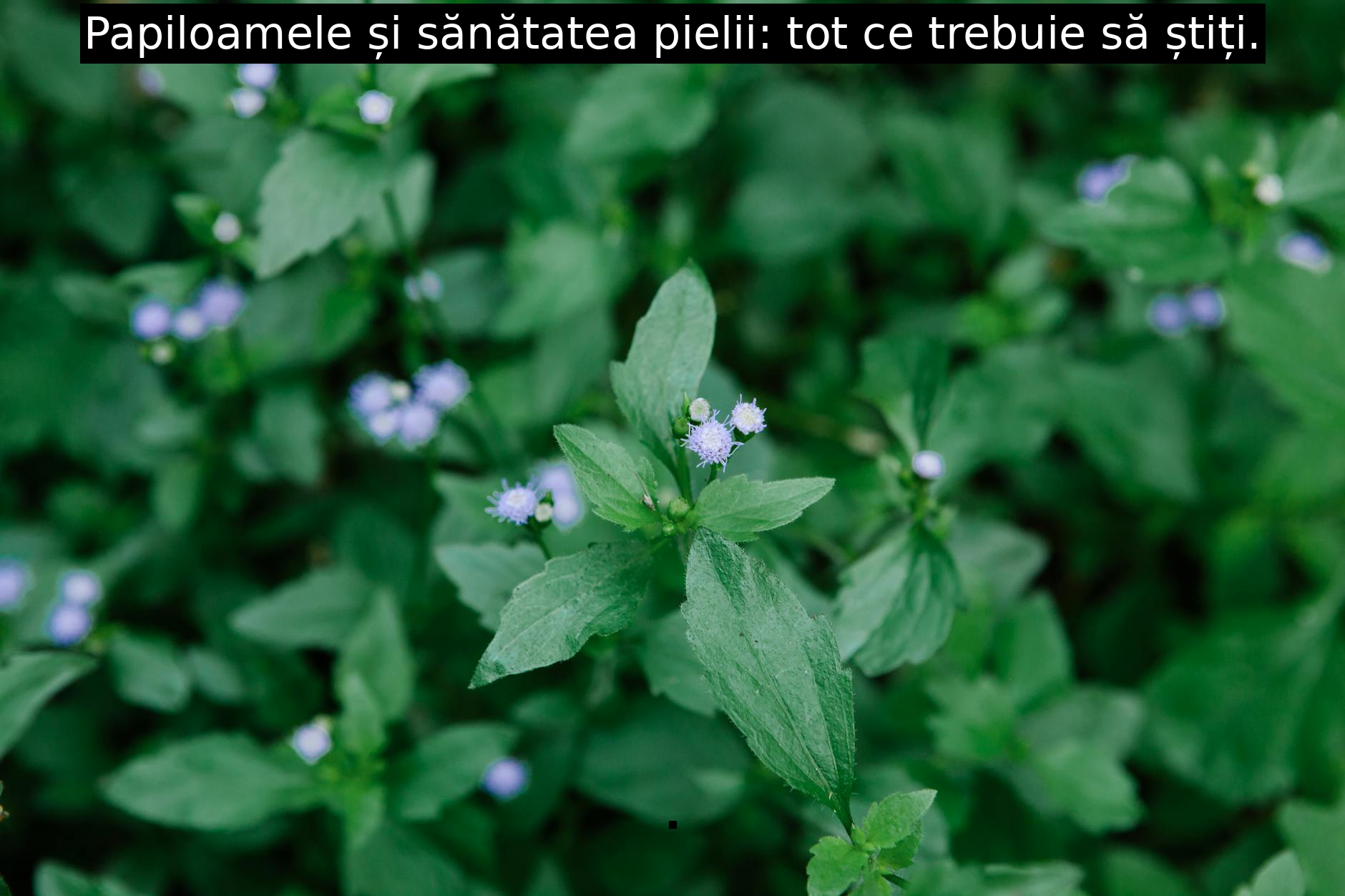 Papiloamele și sănătatea pielii: tot ce trebuie să știți. - Doctorite