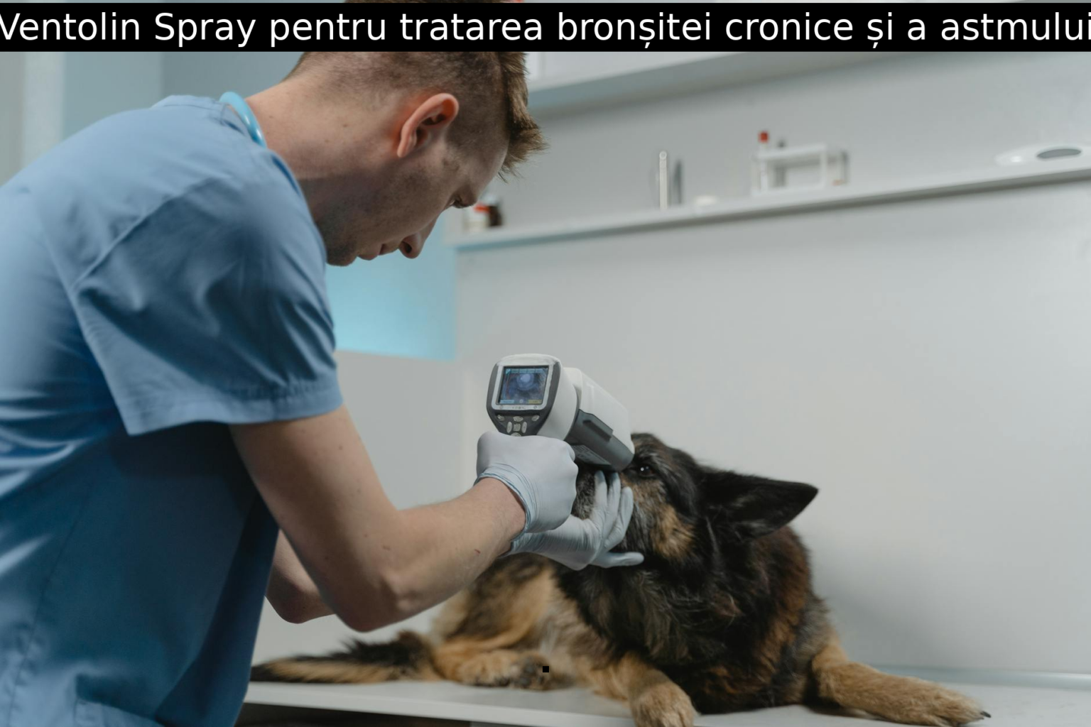 Ventolin Spray pentru tratarea bronșitei cronice și a astmului - Doctorite