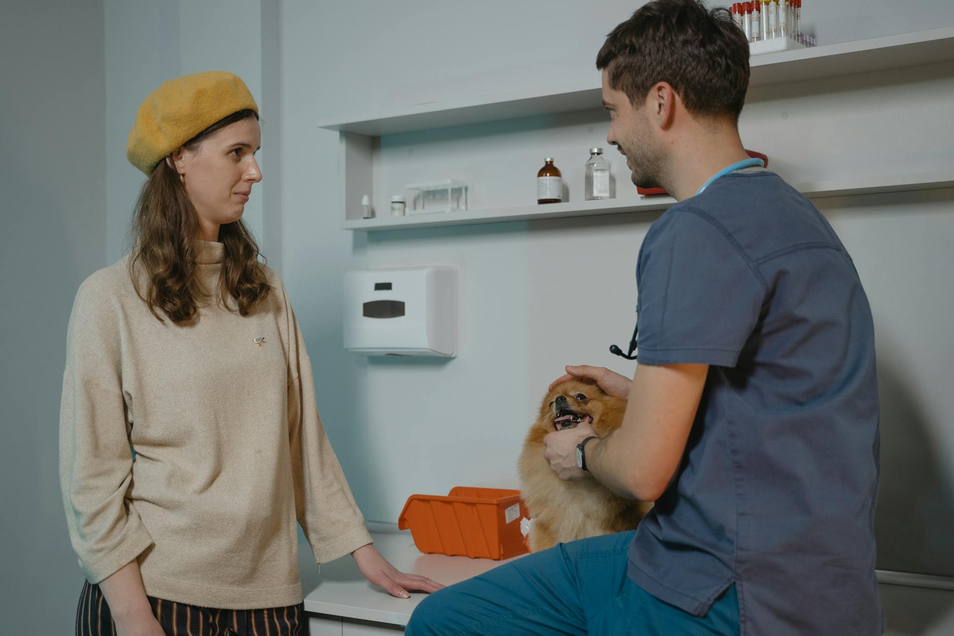 Durerile de stomac: cauze frecvente și metode de tratament - Doctorite